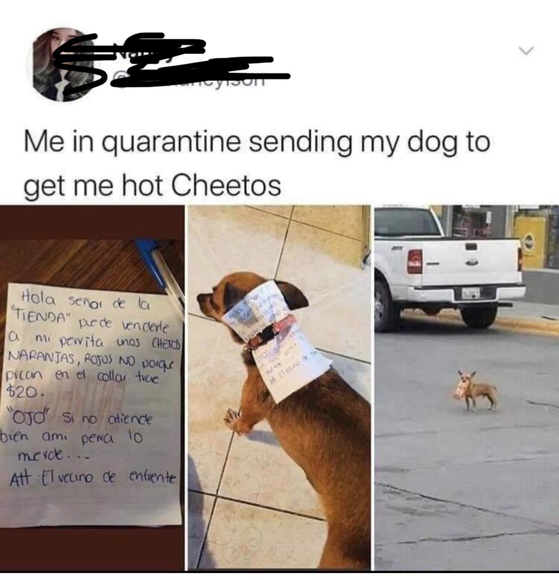 ¡Yo quiero Cheetos! | Scrolller