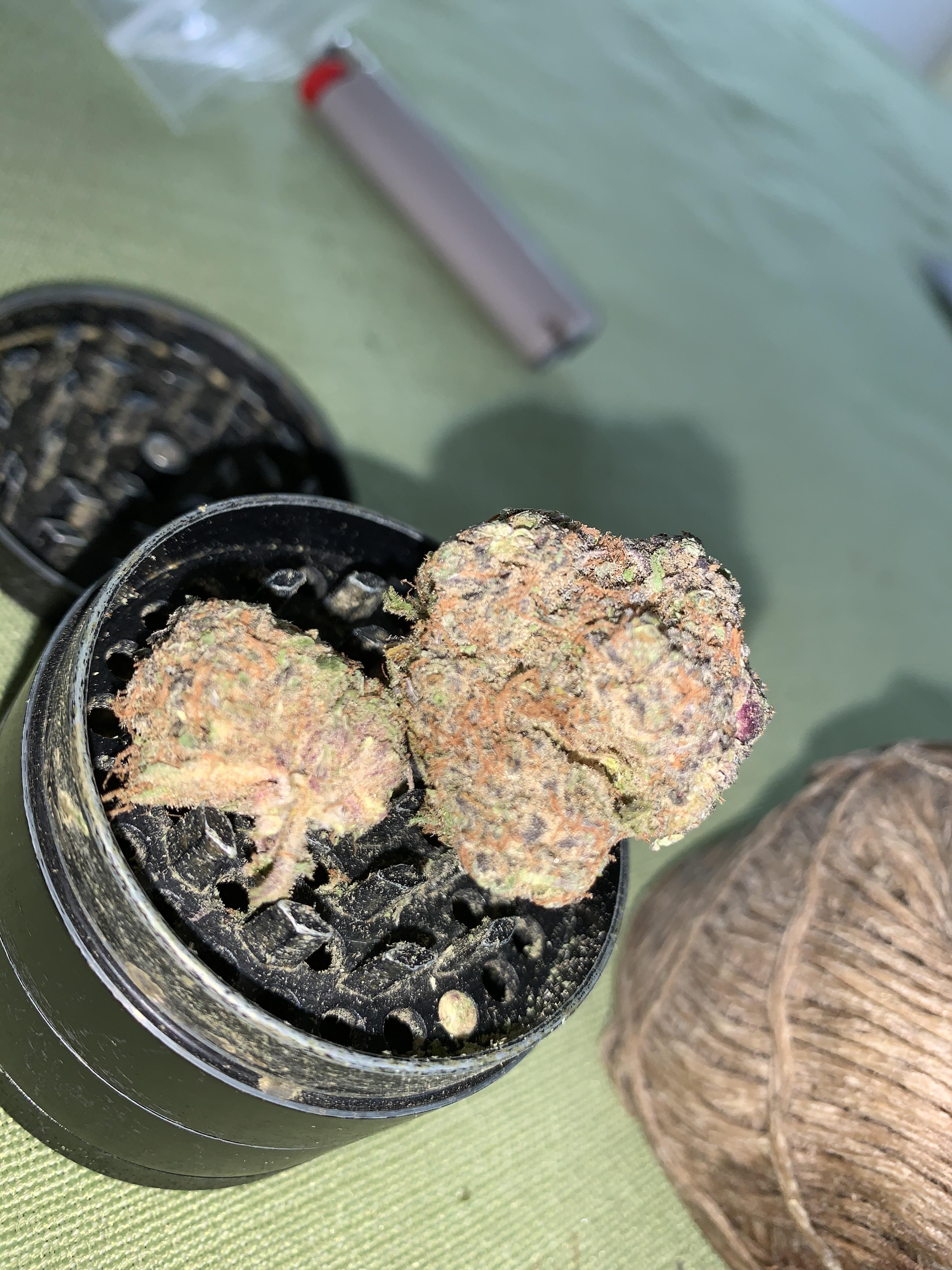 York bud | Scrolller