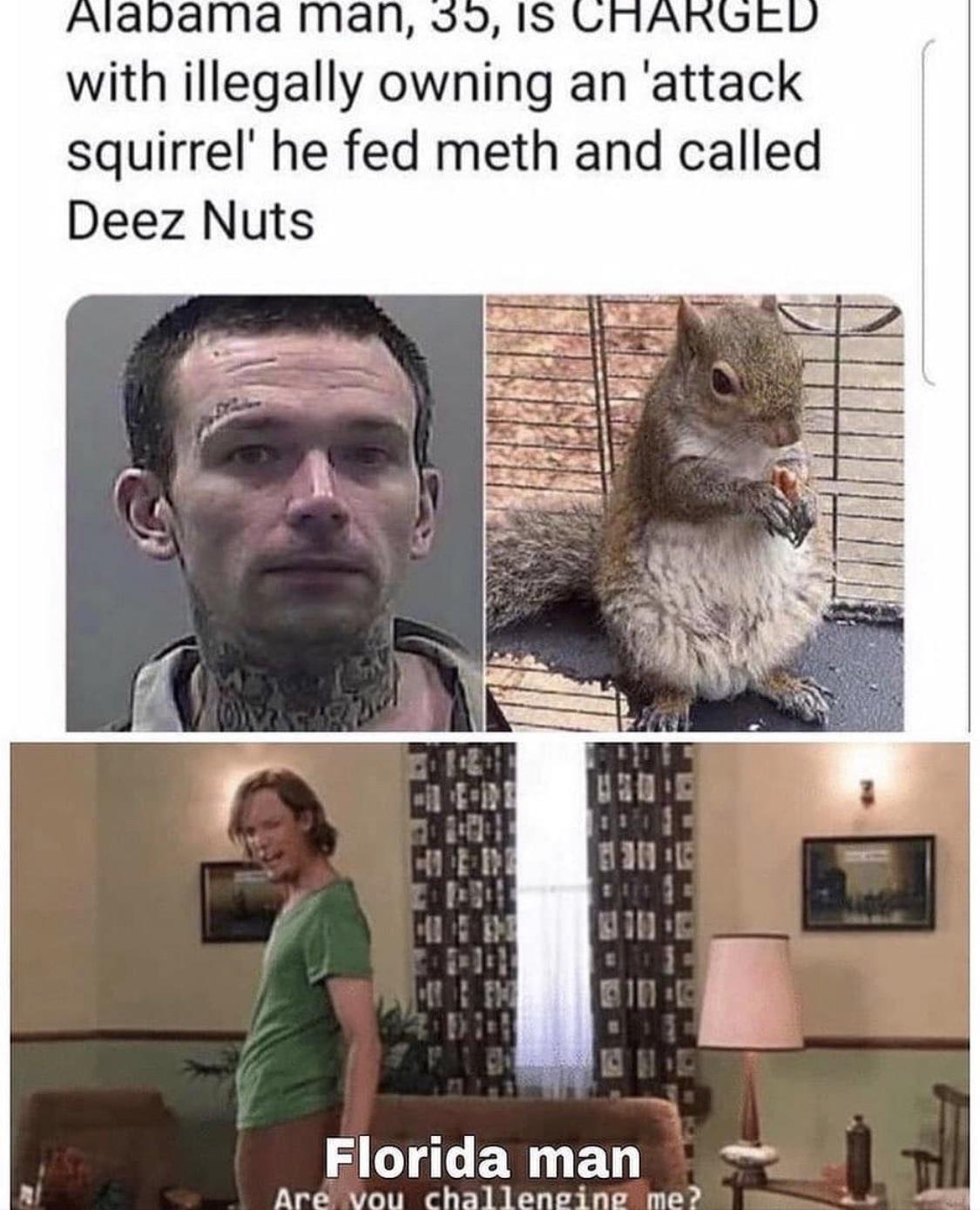 You dare challenge me!!! | Scrolller