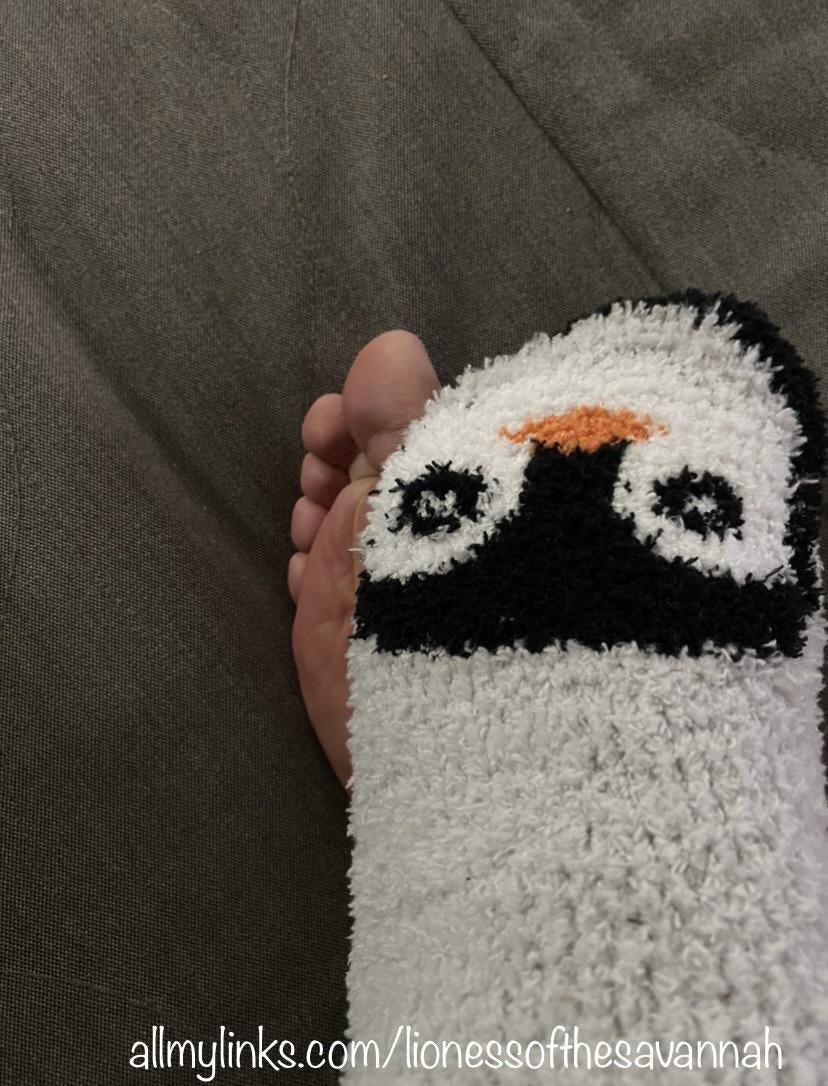 You like my fuzzy sock? | Scrolller