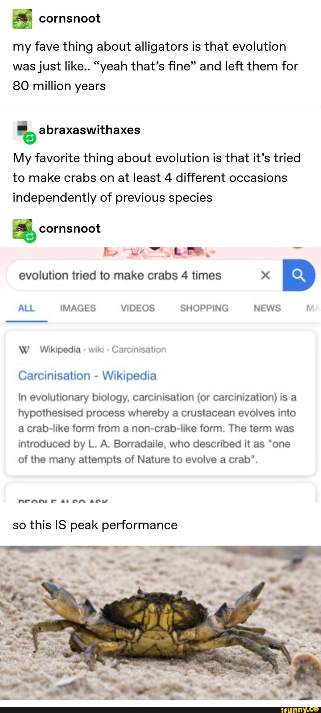 You may not like but it, but this is what peak performance looks like ...