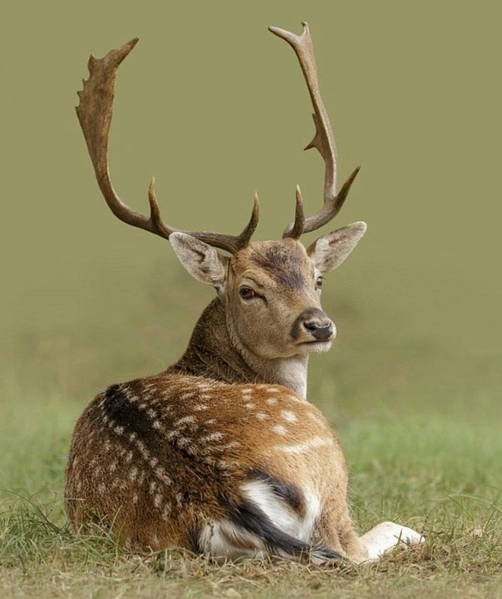 you may touch it... ONCE | Scrolller