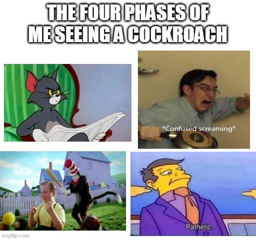 YOU MESSED WITH THE WRONG HOUSE FOOL | Scrolller