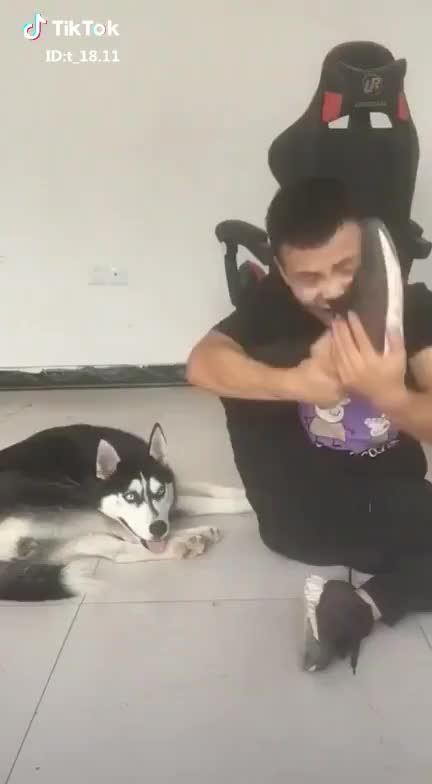 You silly boi | Scrolller