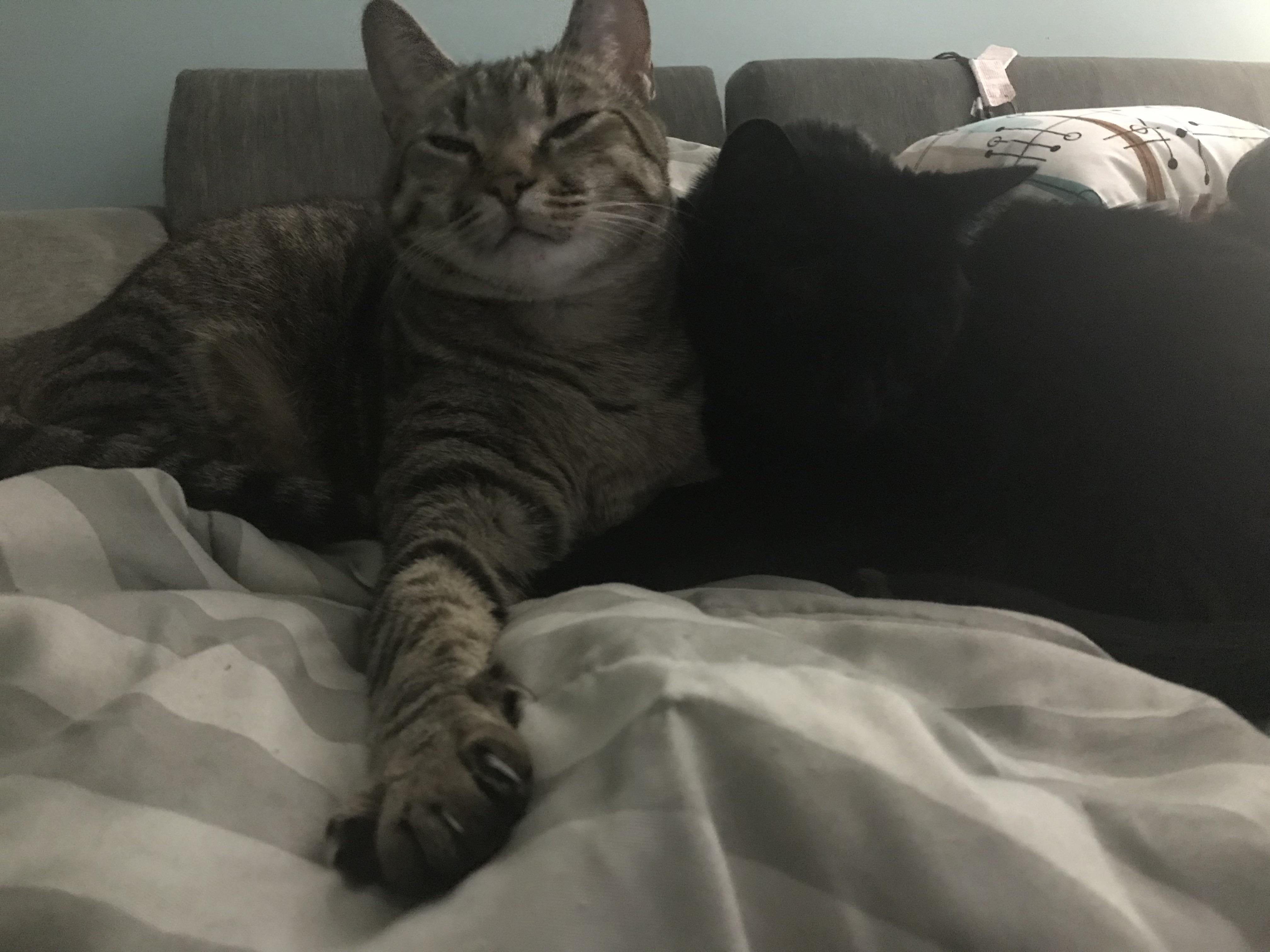 You’ve gotta have friends | Scrolller