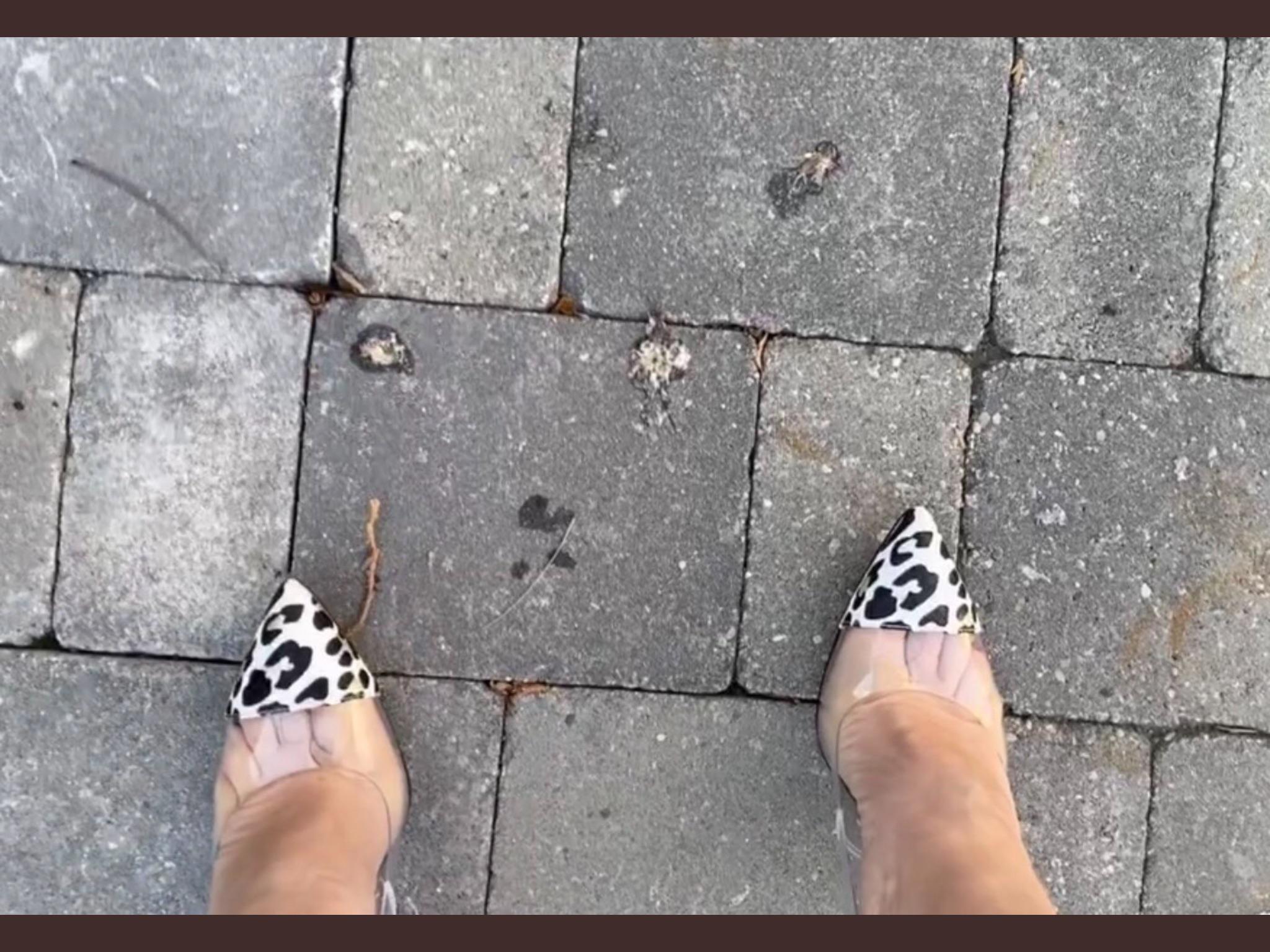 You were in my path | Scrolller