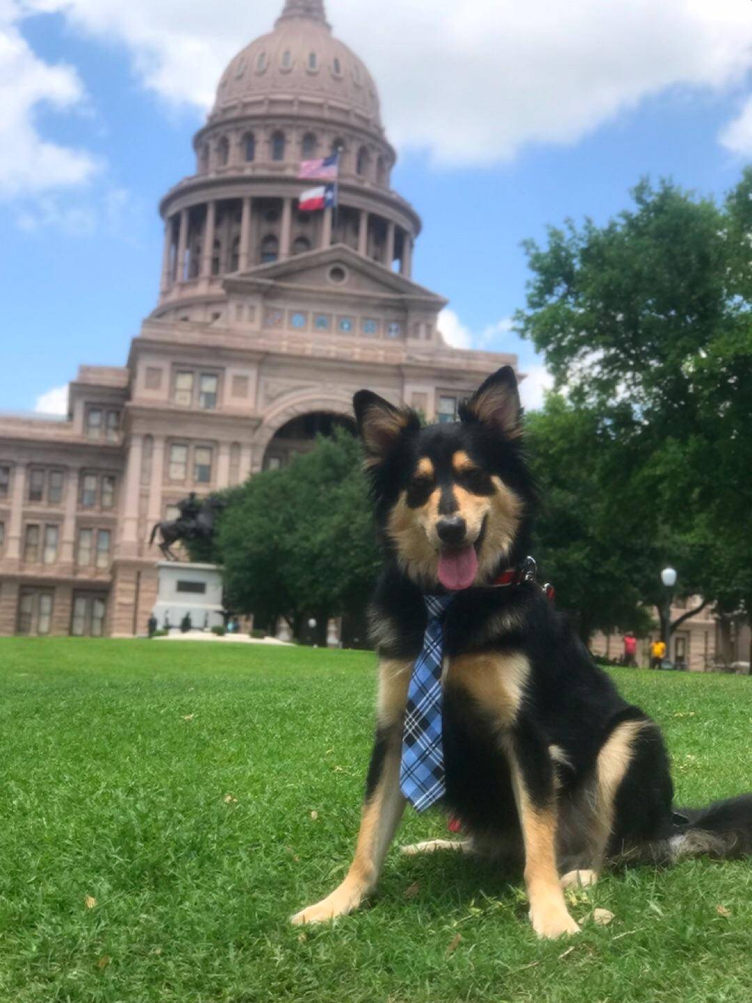 Young professional. | Scrolller