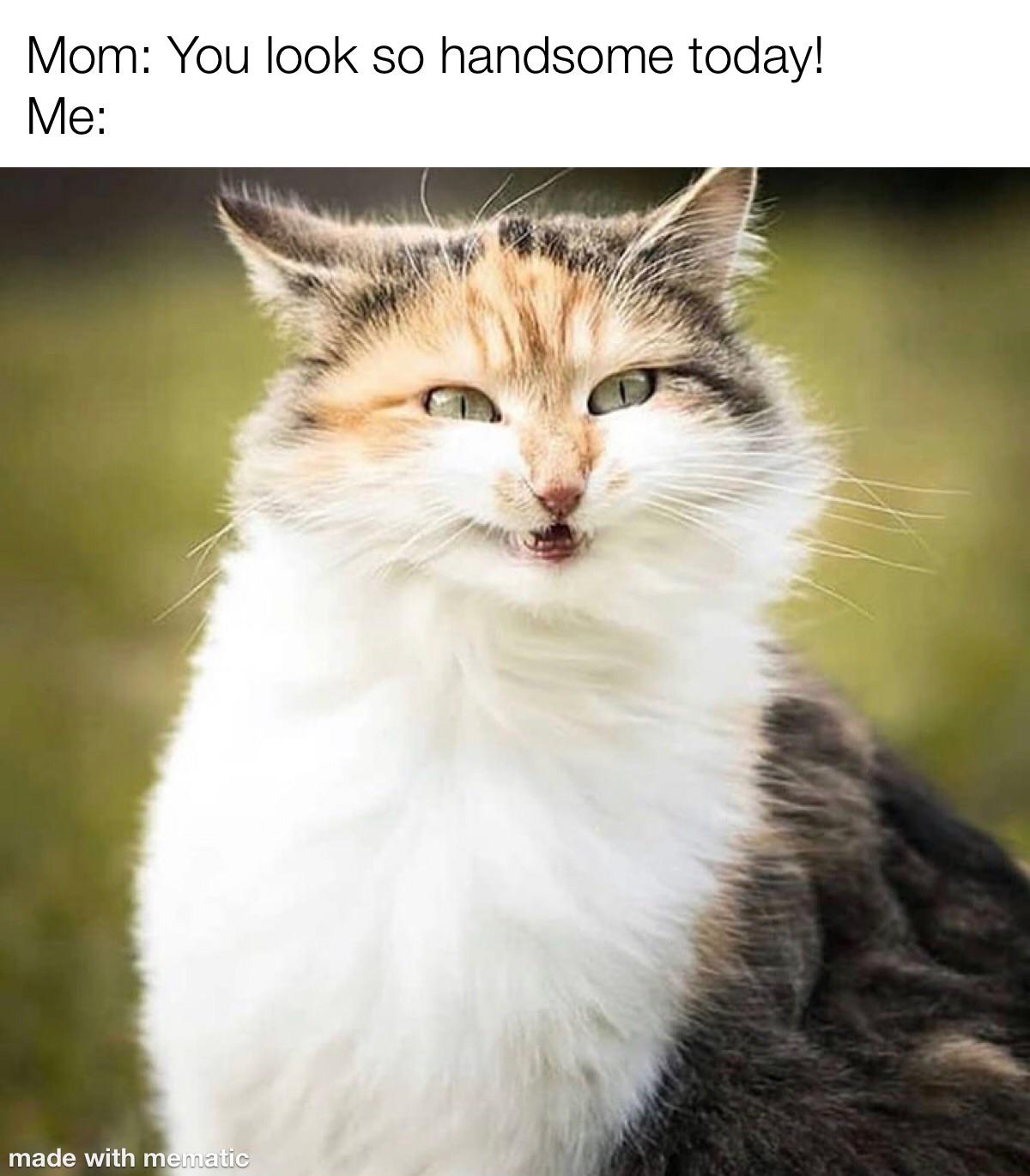 Your really think so? | Scrolller