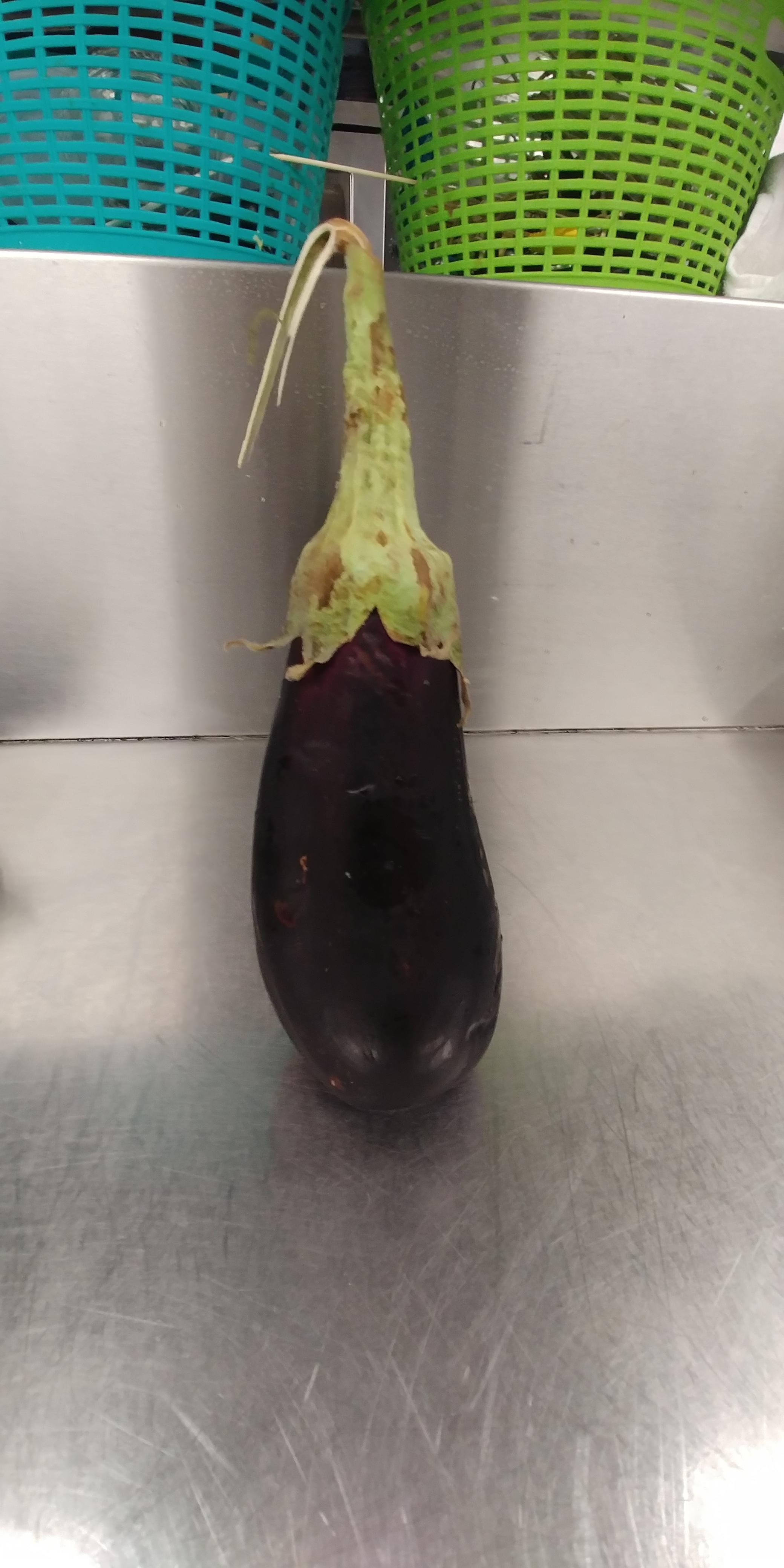 You're an eggplant, Harry. | Scrolller