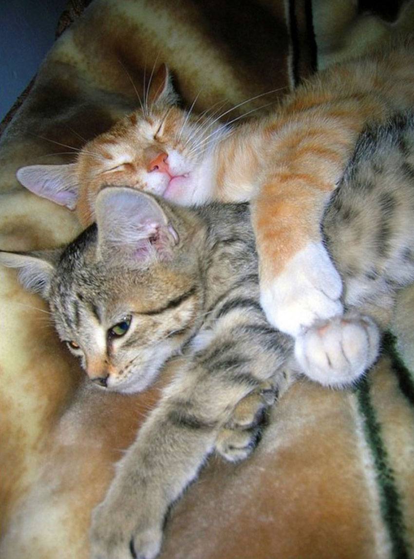 You're squishing me. | Scrolller