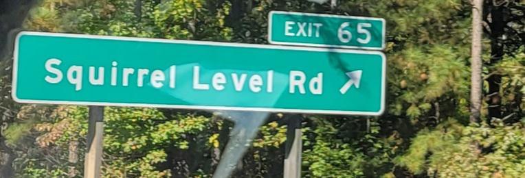 You've heard of the cow level. Now let me introduce you to... | Scrolller