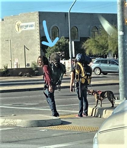 Zach de la Racoon, Rage Against The Hygiene | Scrolller