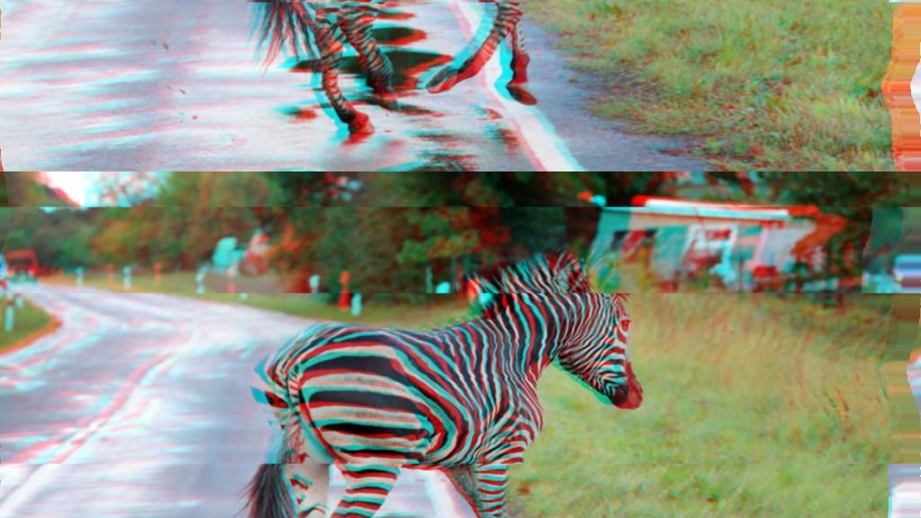 Zebra VHS glitch | Scrolller