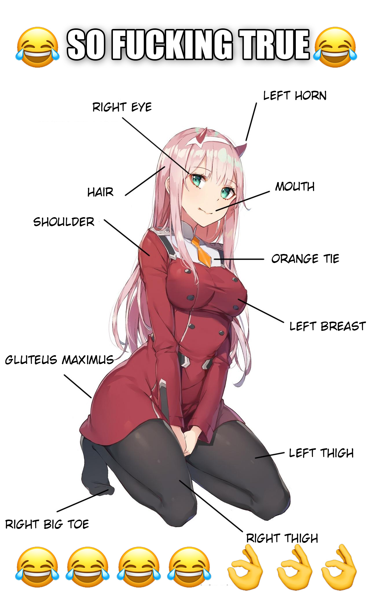 Zero Two diagram | Scrolller
