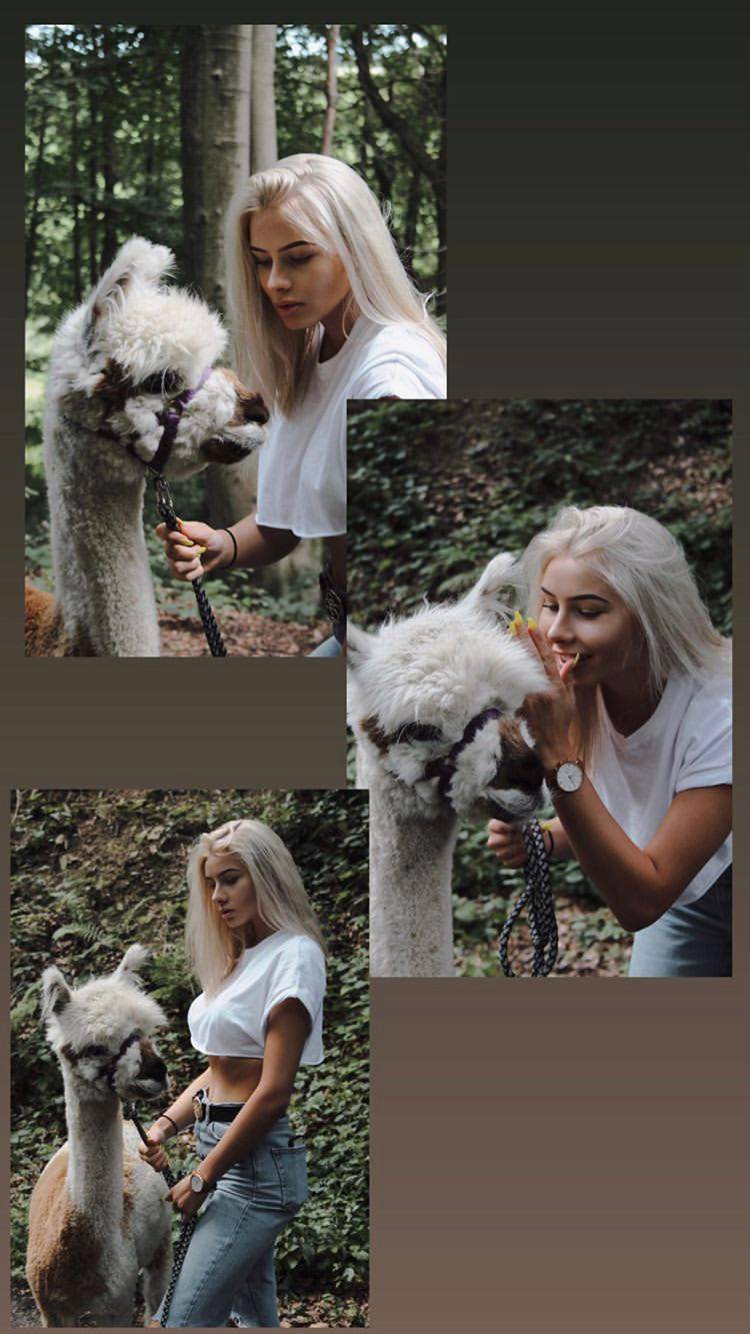 Zu erst dem lama eins geblasen und nach dem foto shoting blasen und in den mund sprizen lassen ...