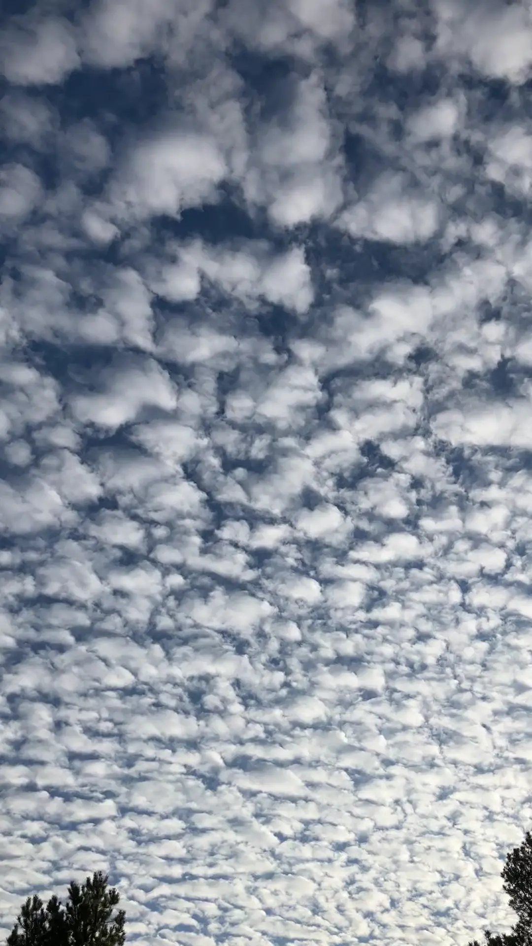 🔥Arizona sky with perfect little clouds | Scrolller