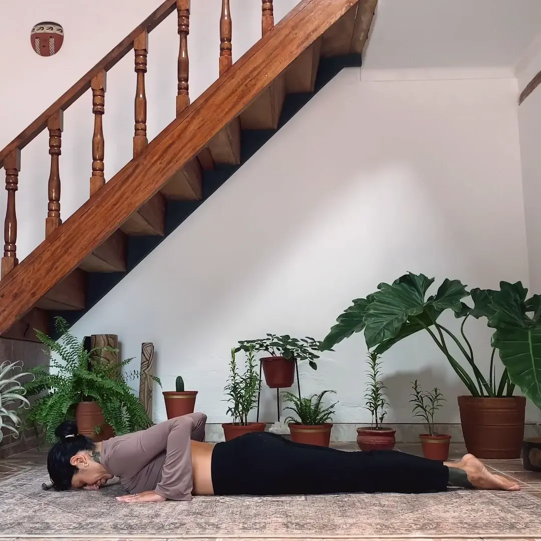 [COMP] King cobra variations | Scrolller