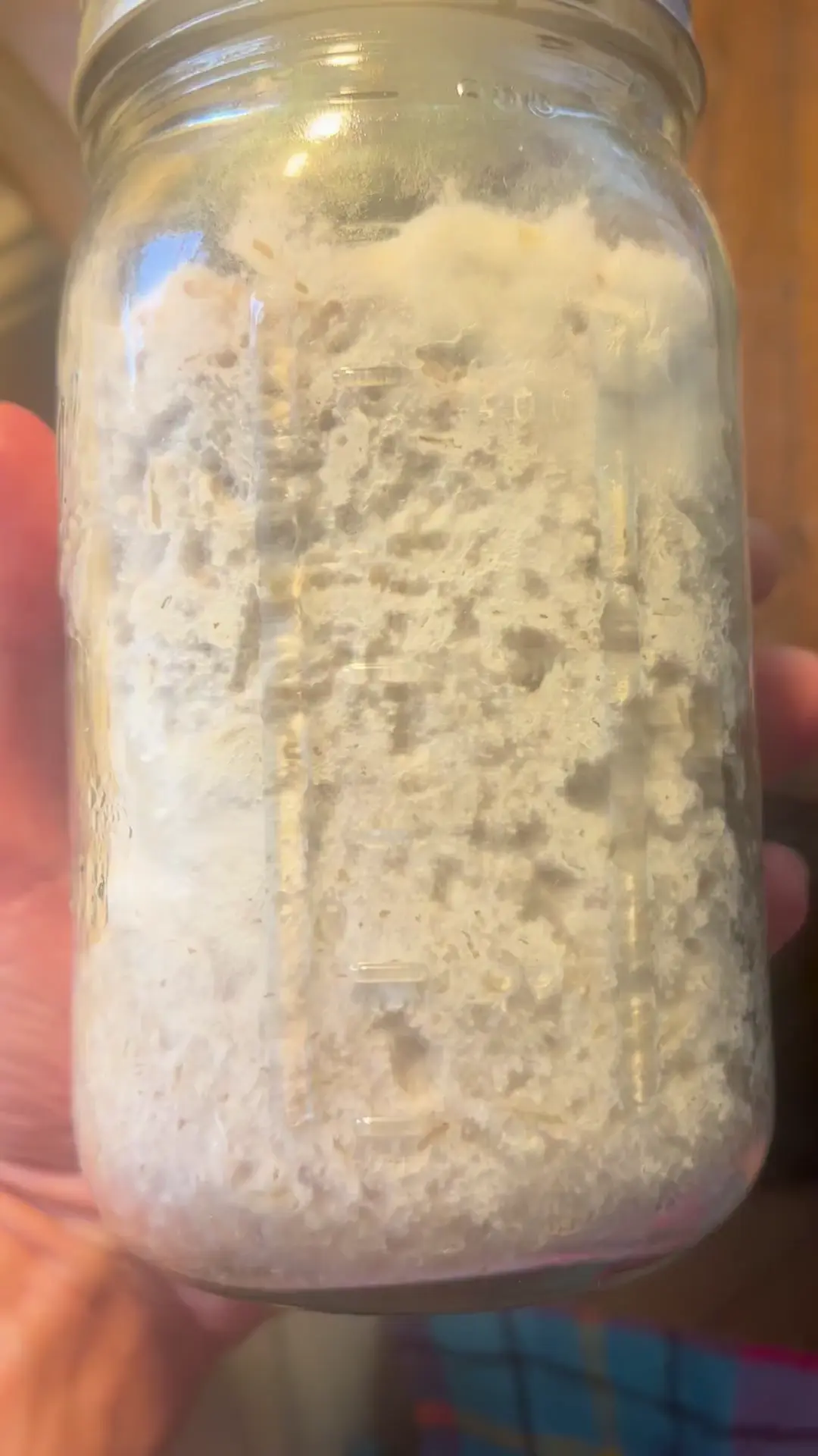 [contamination] are these black spots contamination | Scrolller