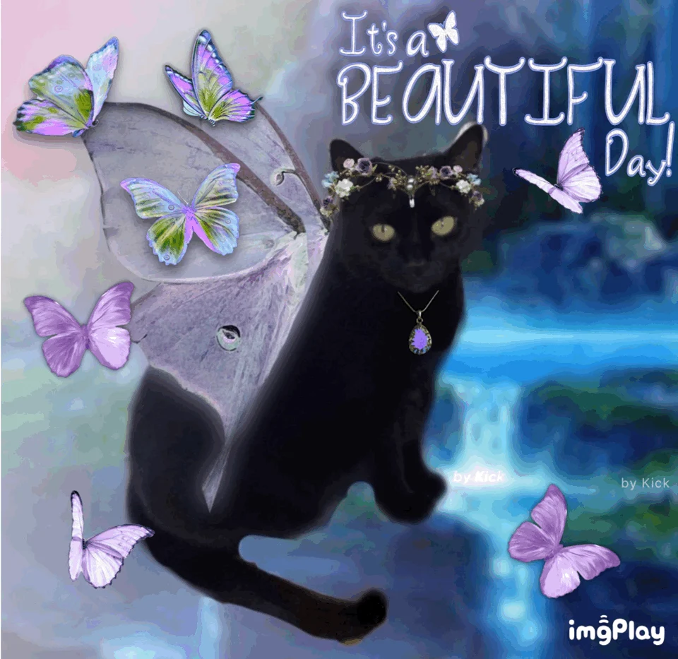 🧚🏻‍♀️Fairy Tails gif🧚🏻‍♀️my Meadow | Scrolller