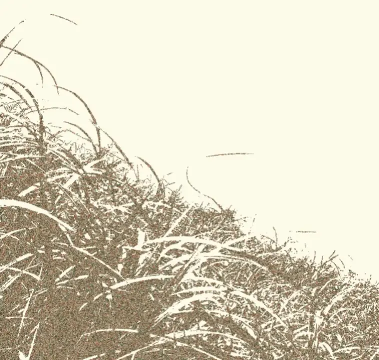 “Hand drawn” text animation | Scrolller