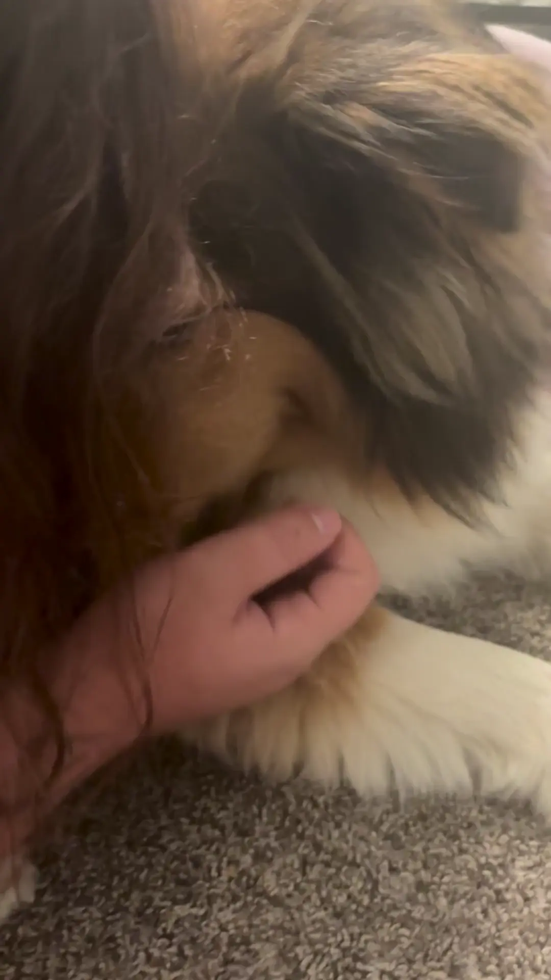 “let me just lick your arm” | Scrolller