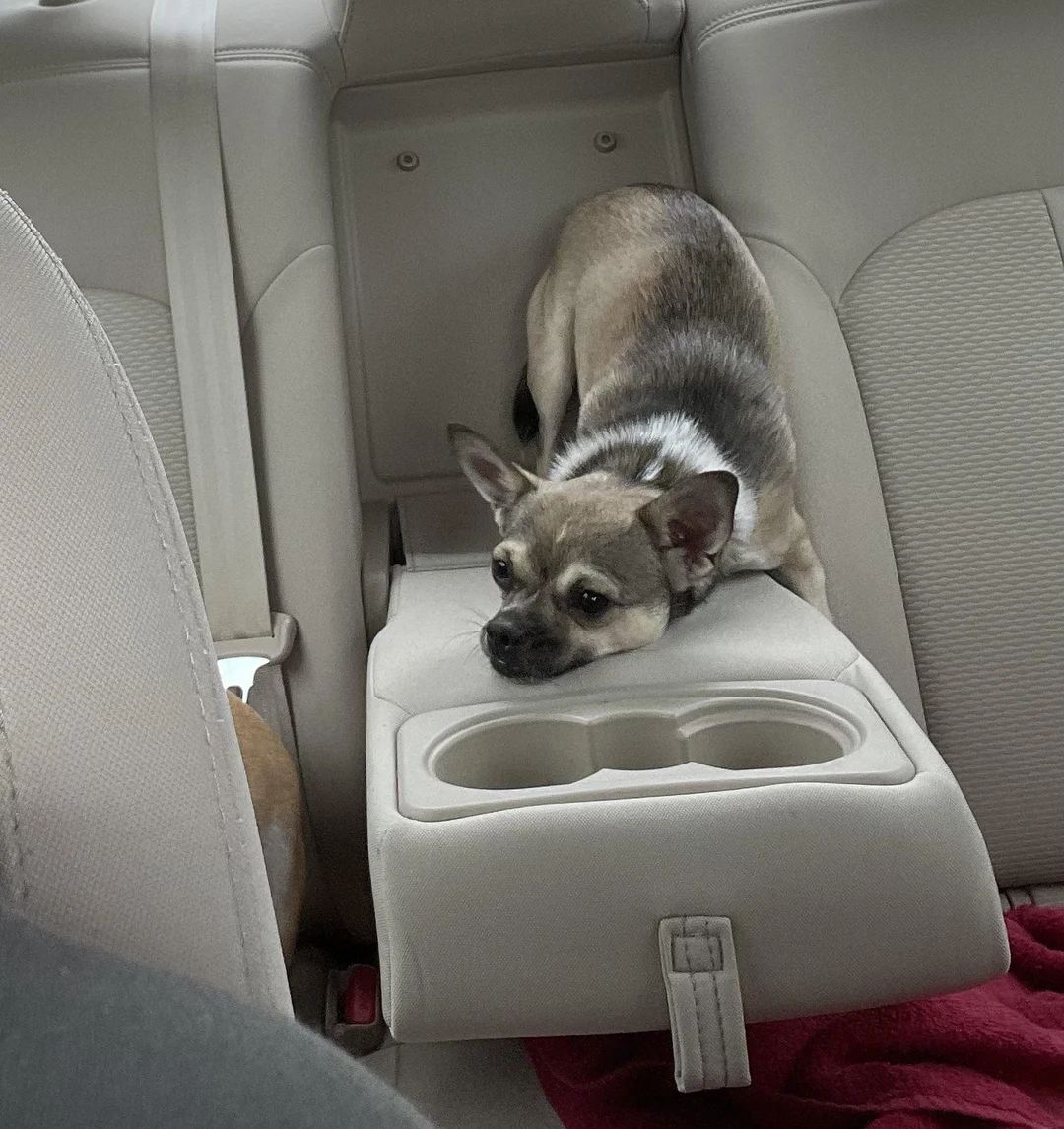 He rarely sits, but when he does… | Scrolller