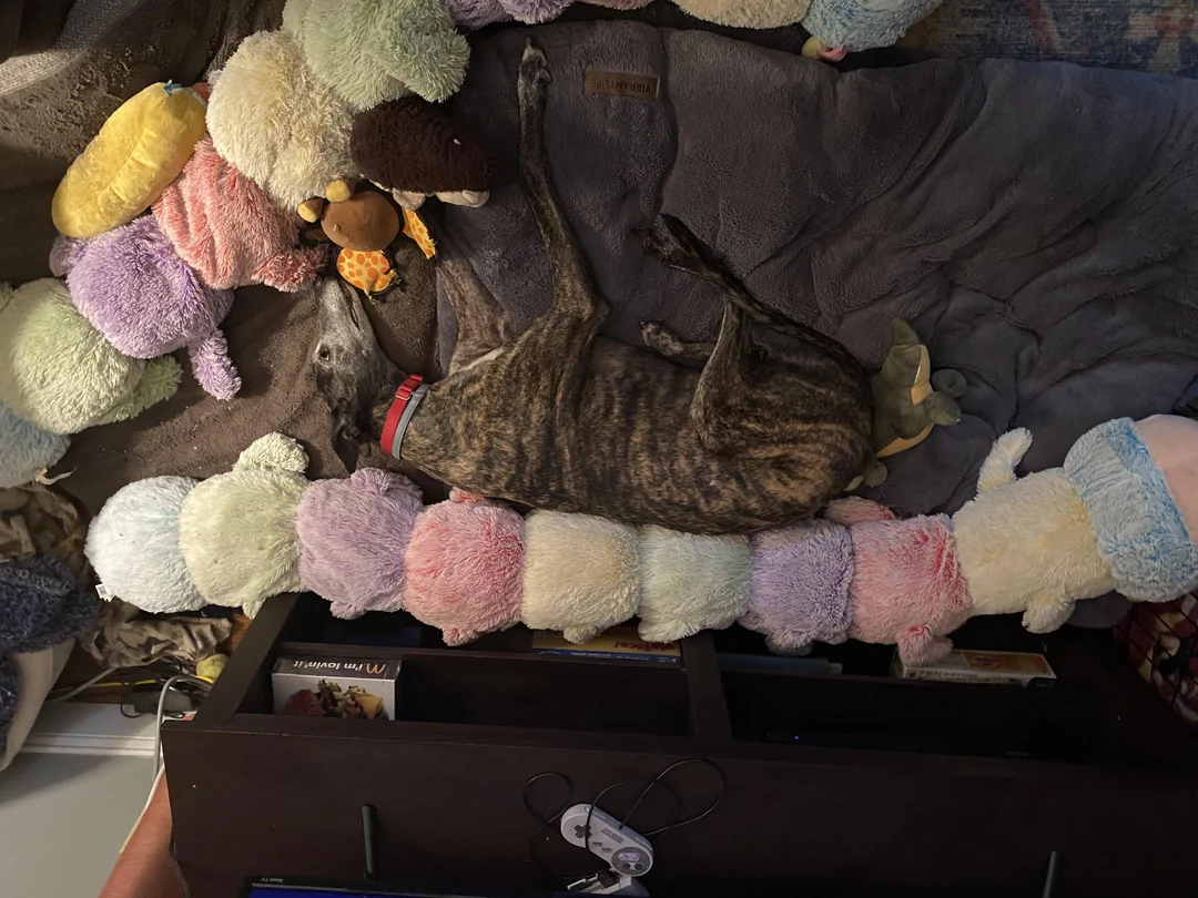 House Guest Mea. Ultimate Queen. 👑 | Scrolller