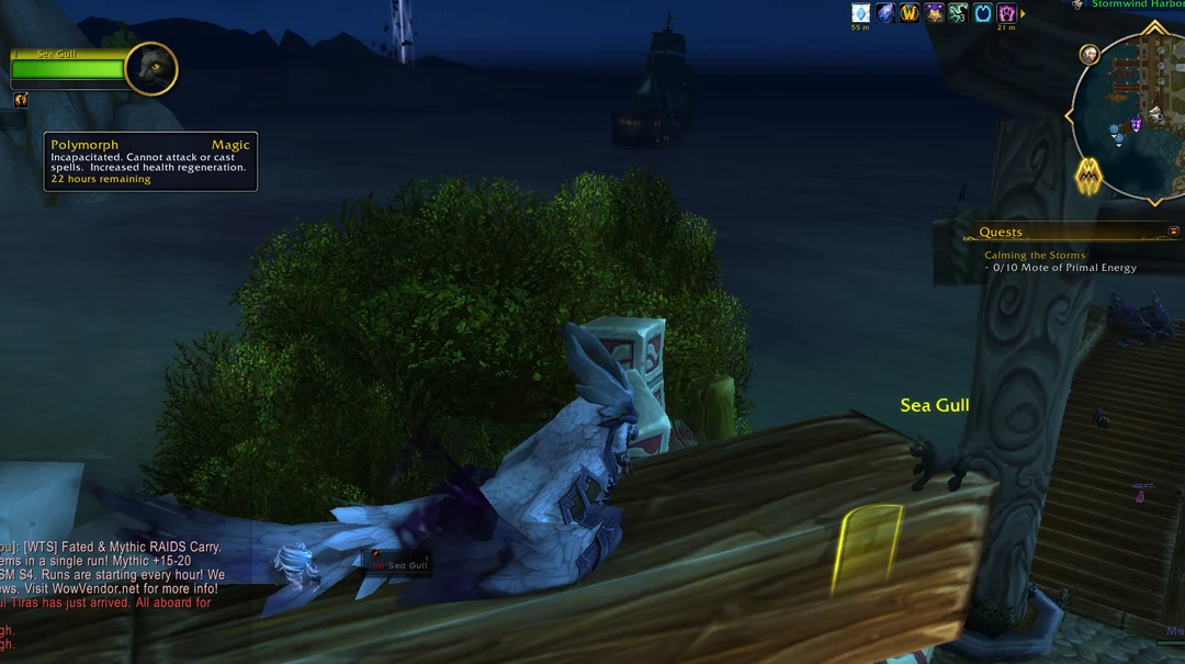 22hr Polymorphed Sea Gull at Stormwind Harbor lol | Scrolller