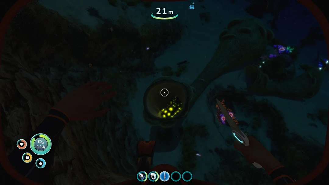 don't know how he got in there, but he is definitely stuck | Scrolller