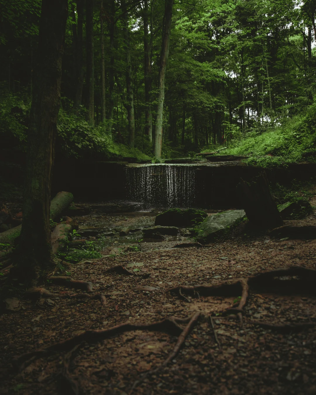 Settler’s Cabin Park, PA [OC] [ 4000 x 5000 ] | Scrolller