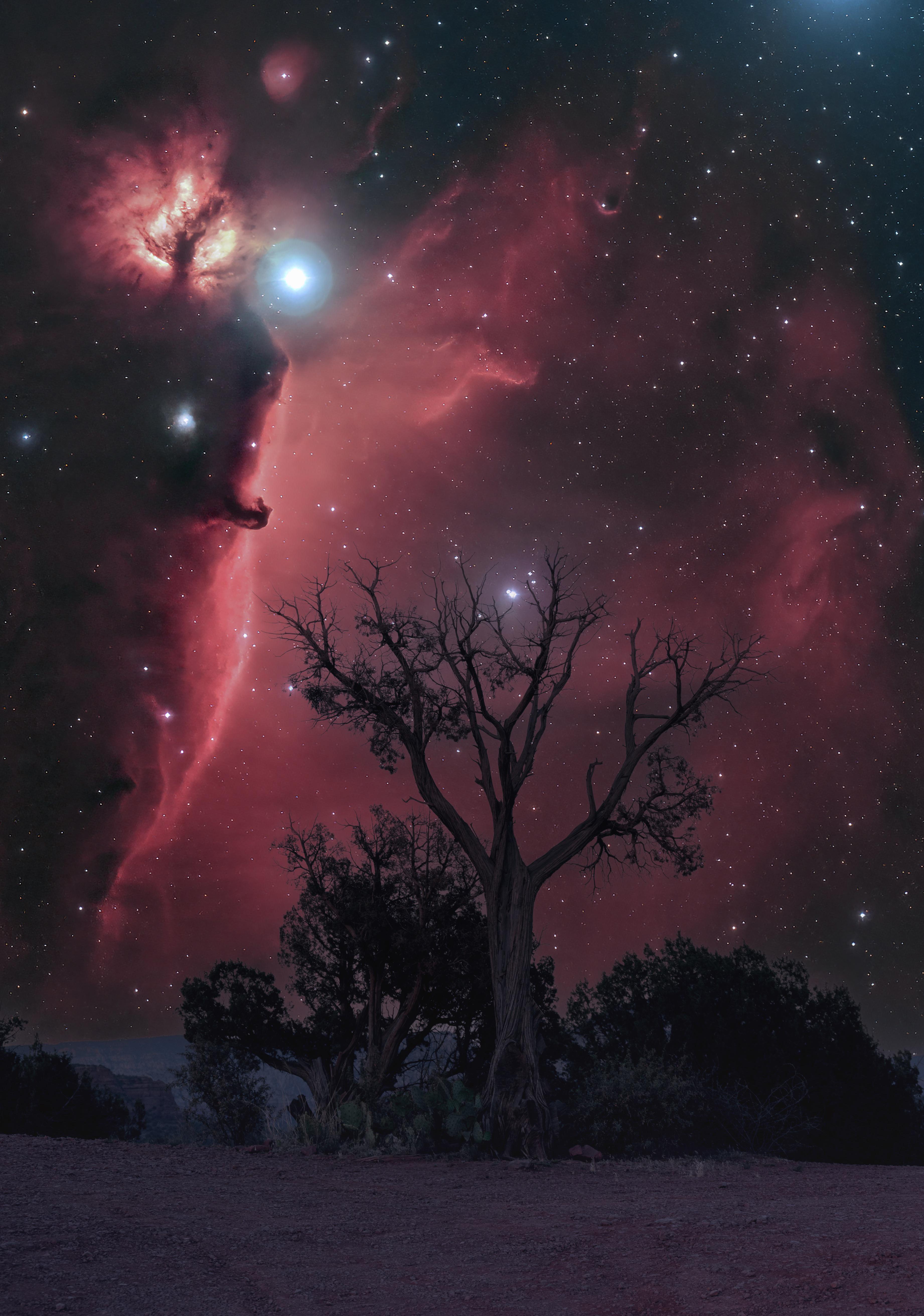 Deepscape Horsehead nebula | Scrolller