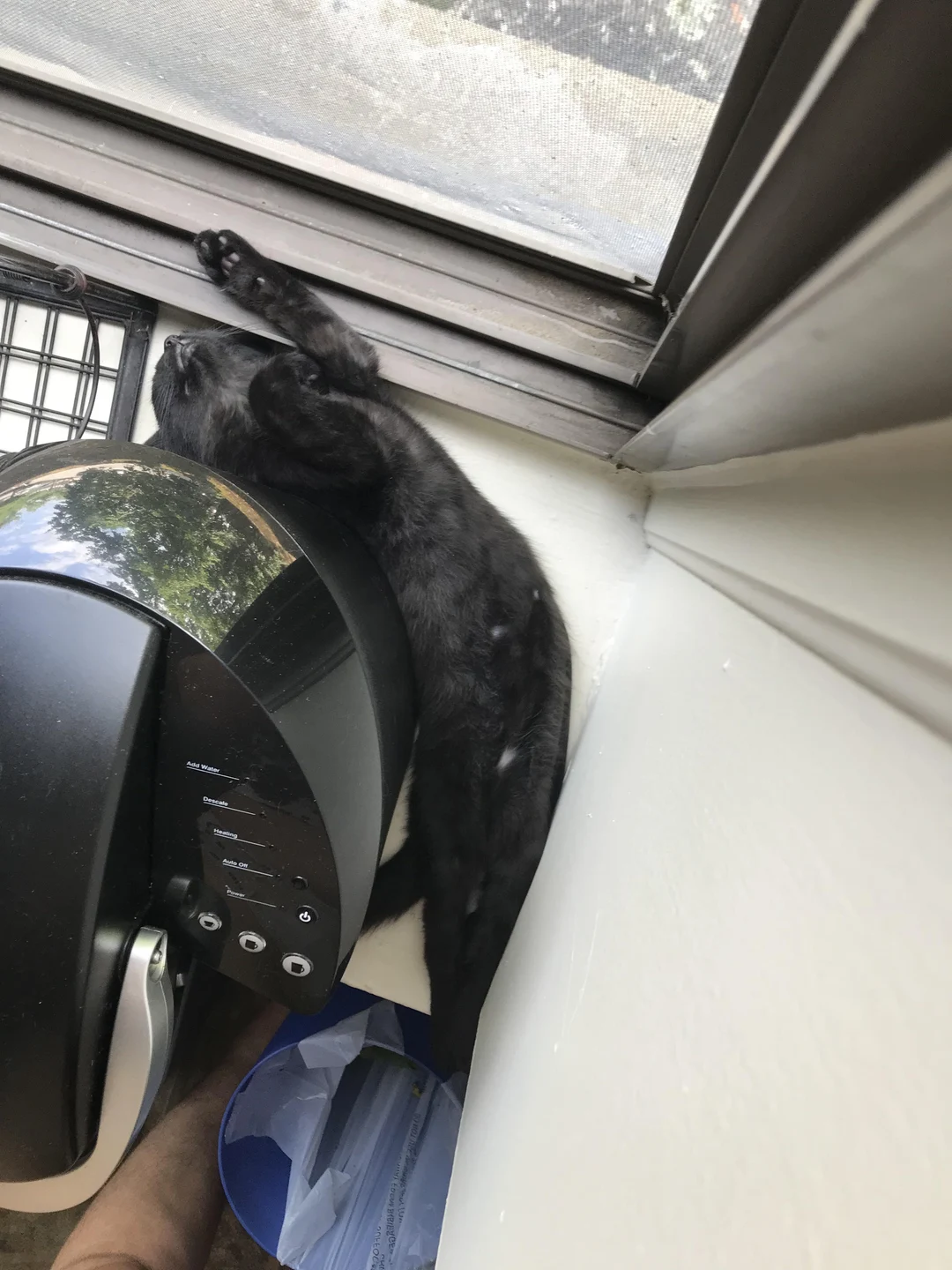 Response to this summers heat wave | Scrolller