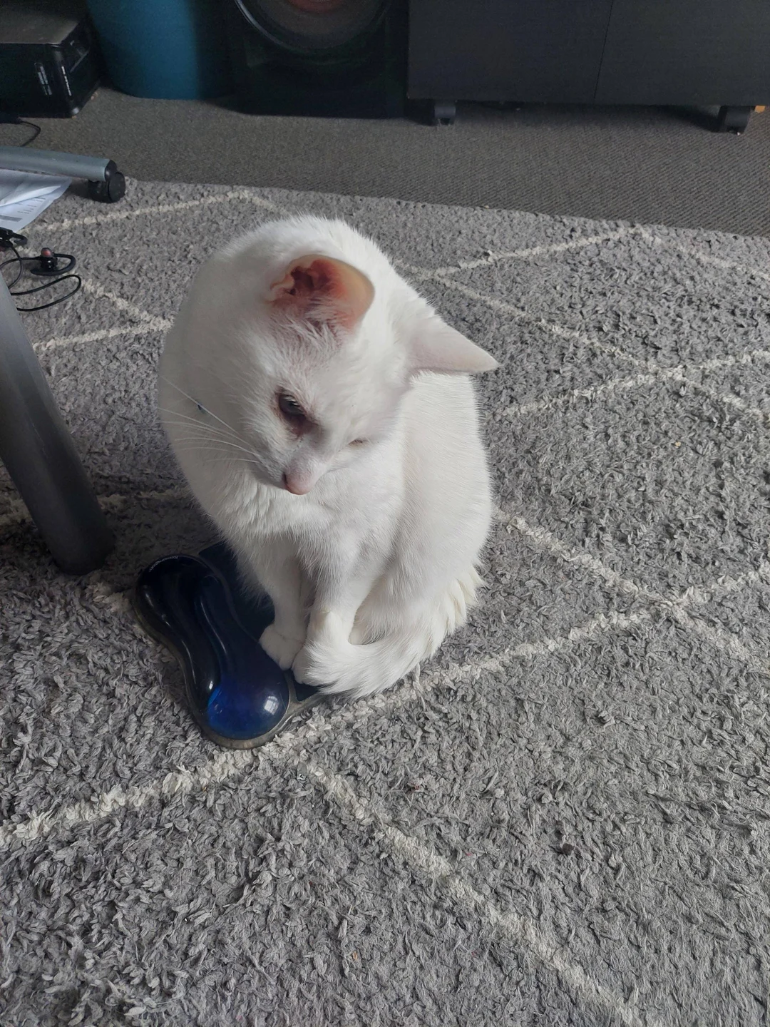 Decoy mouse pad gets the job done | Scrolller