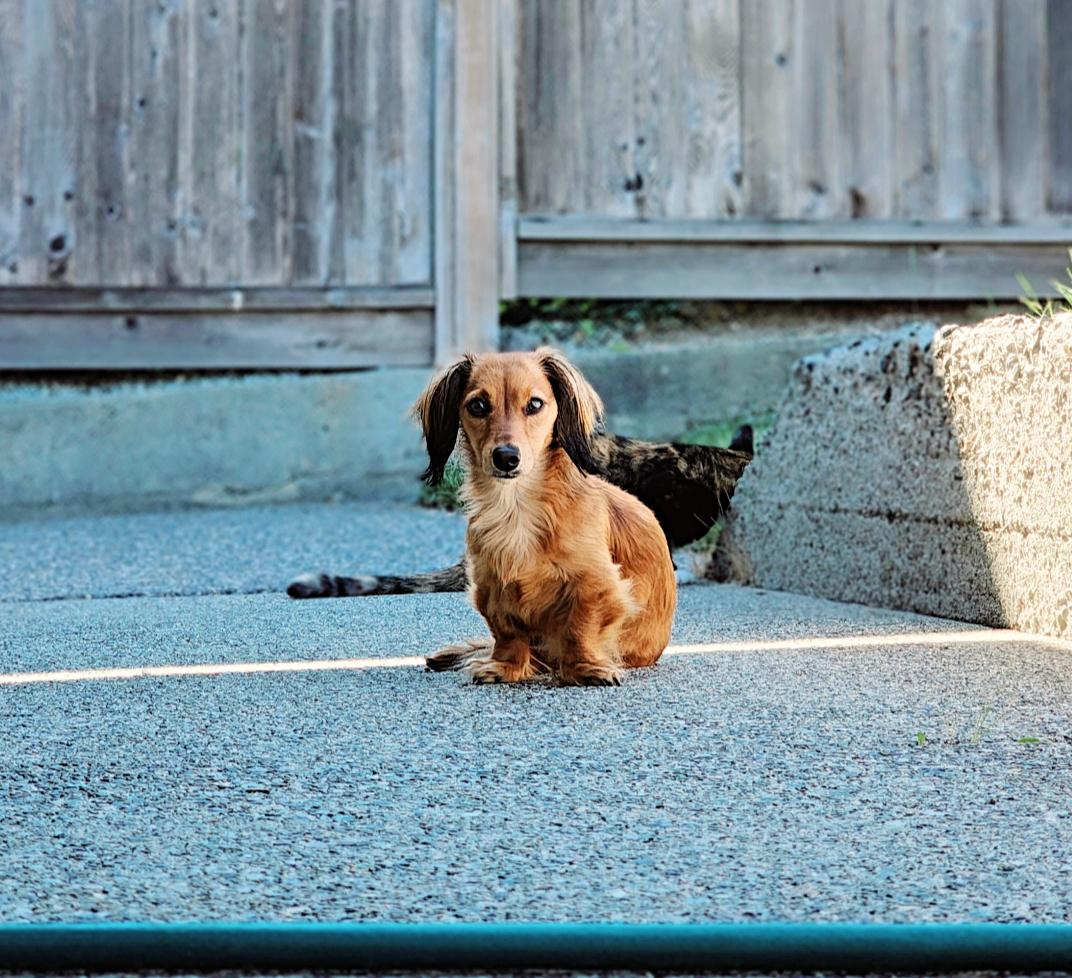 This is June. Sometimes she's very serious. | Scrolller