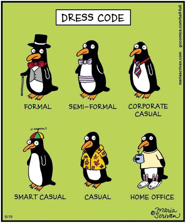 Penguin Dress Code | Scrolller