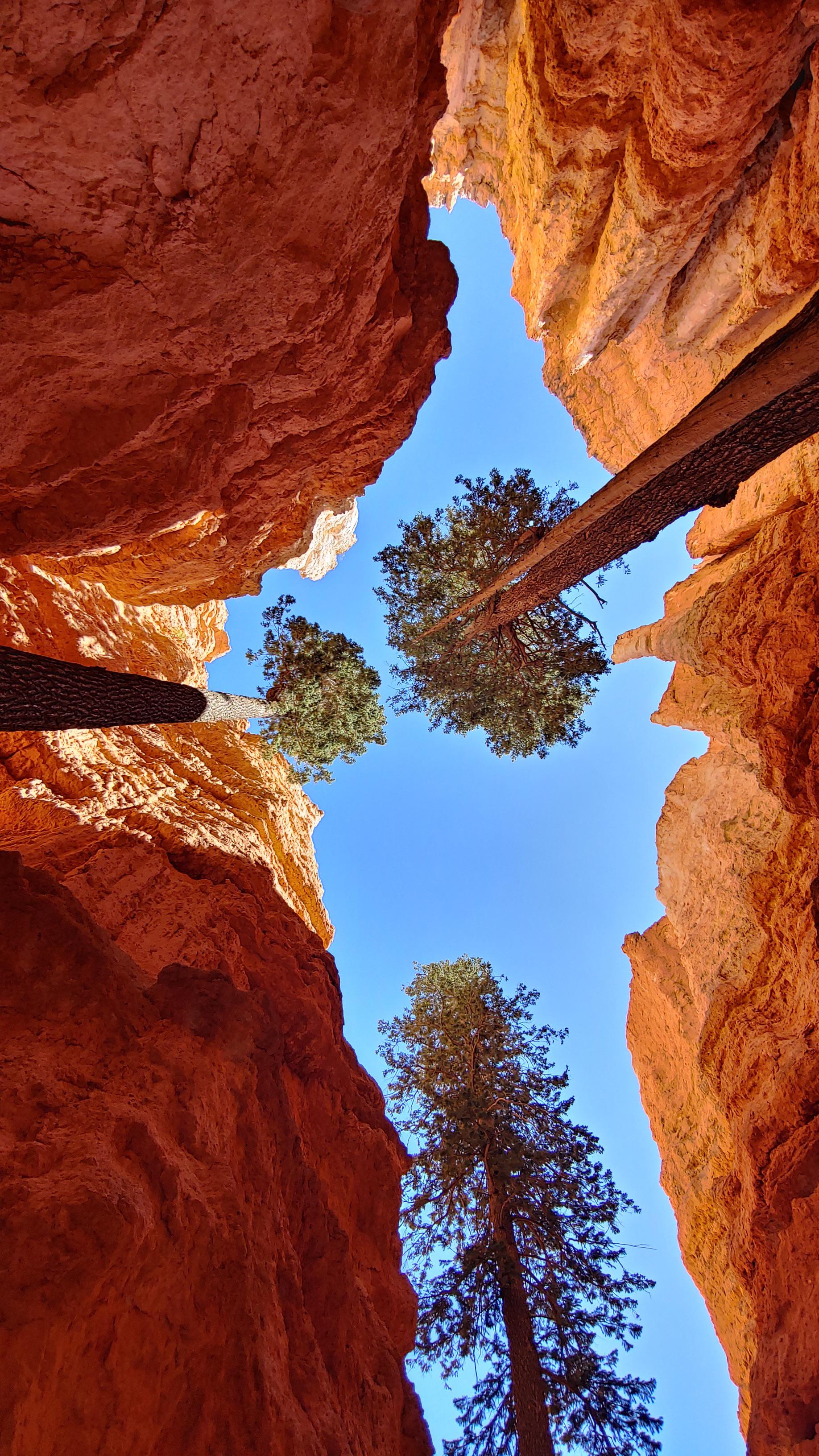Bryce Canyon in Utah. I was laying down while I shot this. | Scrolller