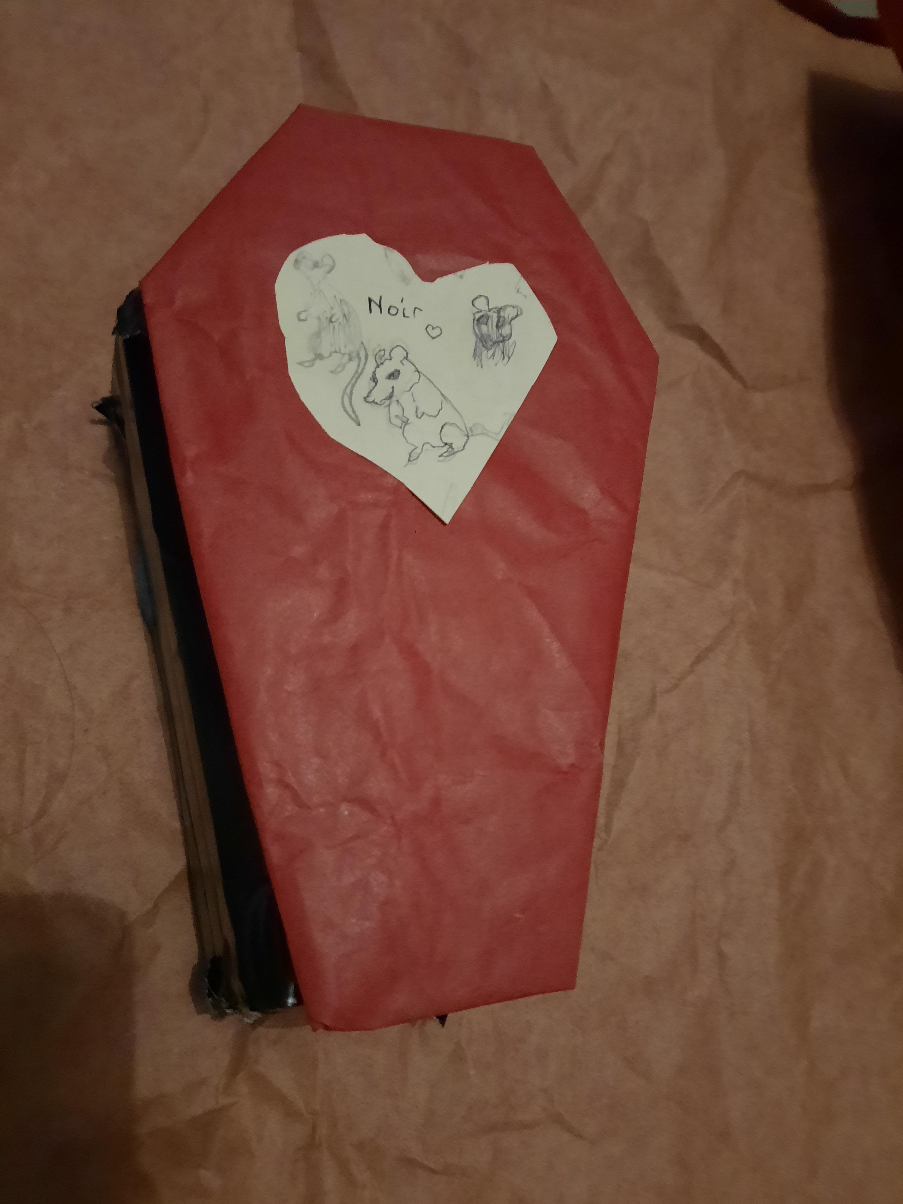 It ever gets easier 💔 | Scrolller