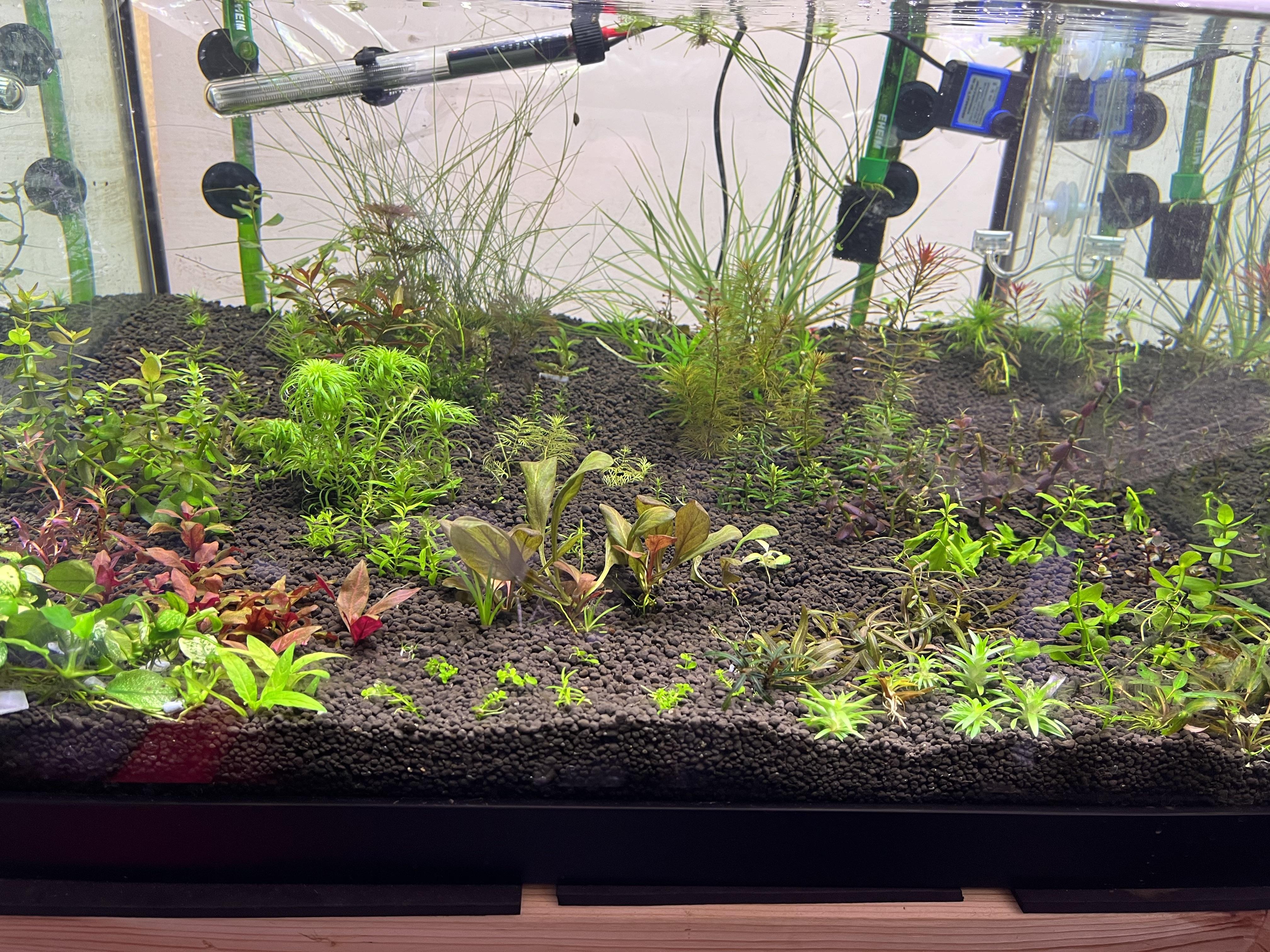 My Pinto corner | Scrolller