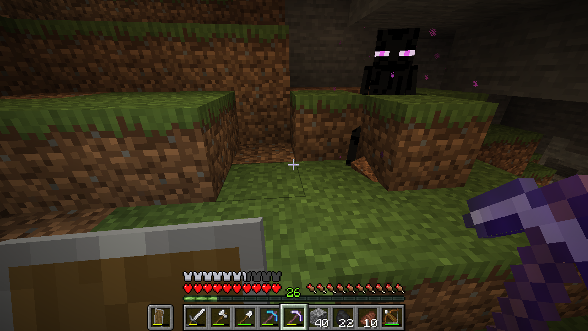 The enderman installed itself and has been in there for about 2 hours | Scrolller