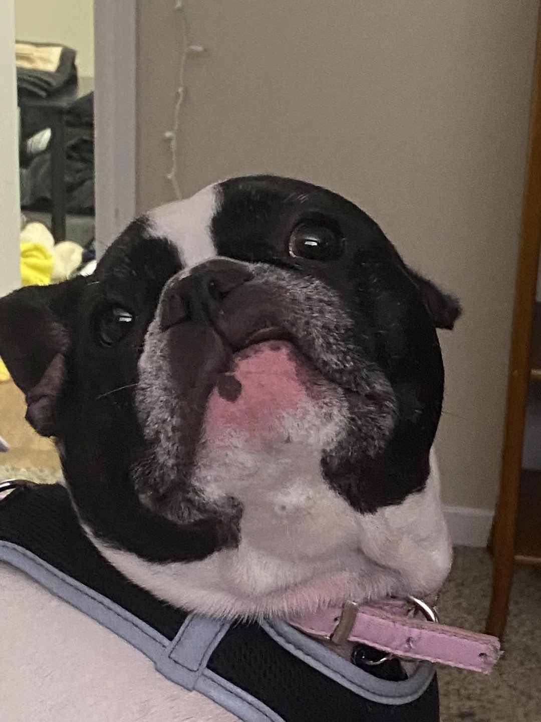 I think she’s broken | Scrolller