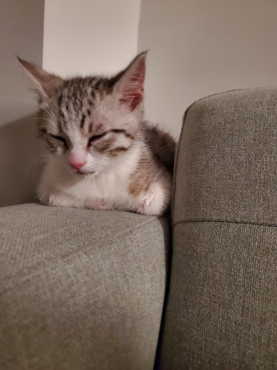 Soapy's first full loaf | Scrolller