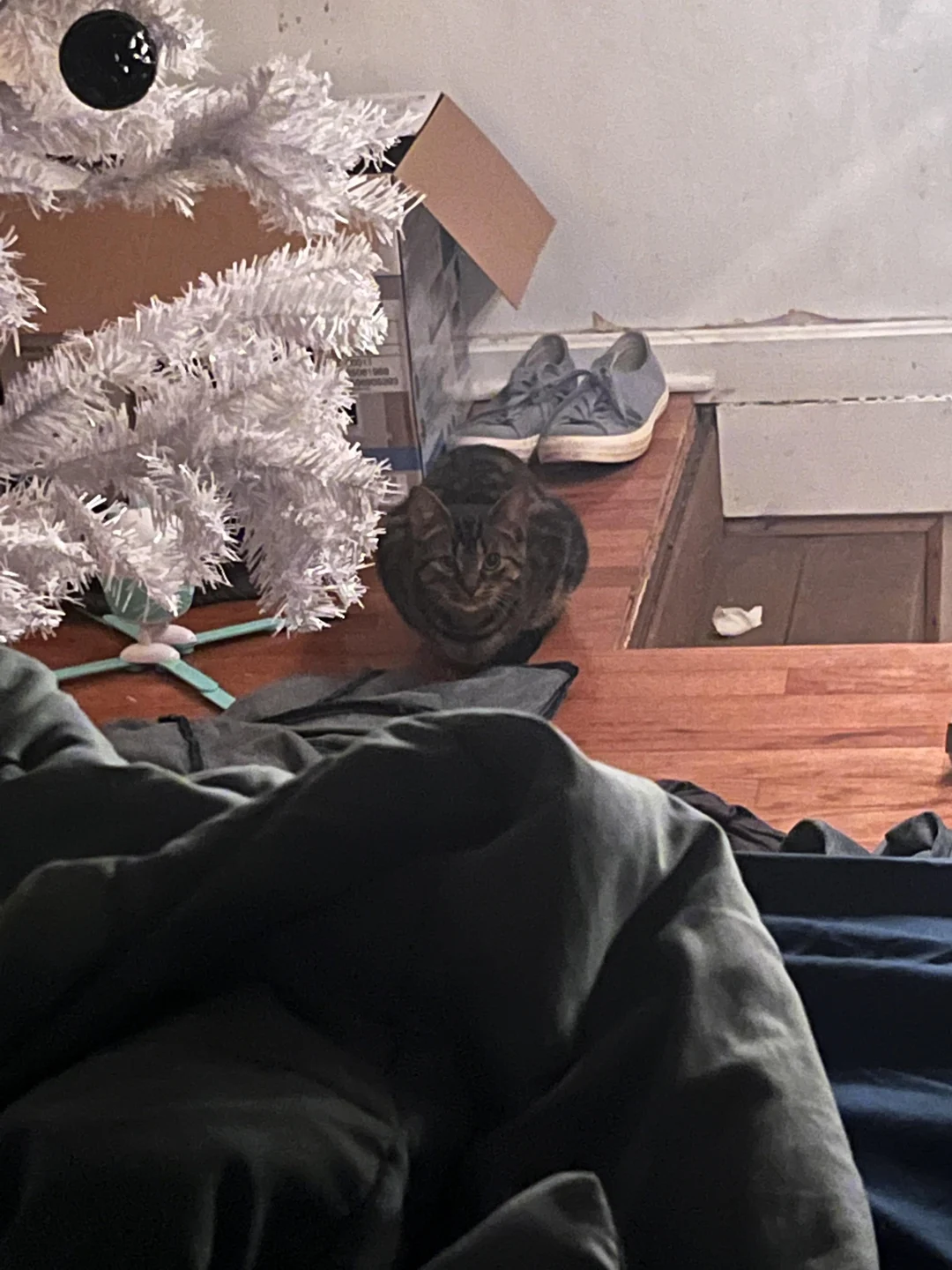 Pickle Loaf | Scrolller