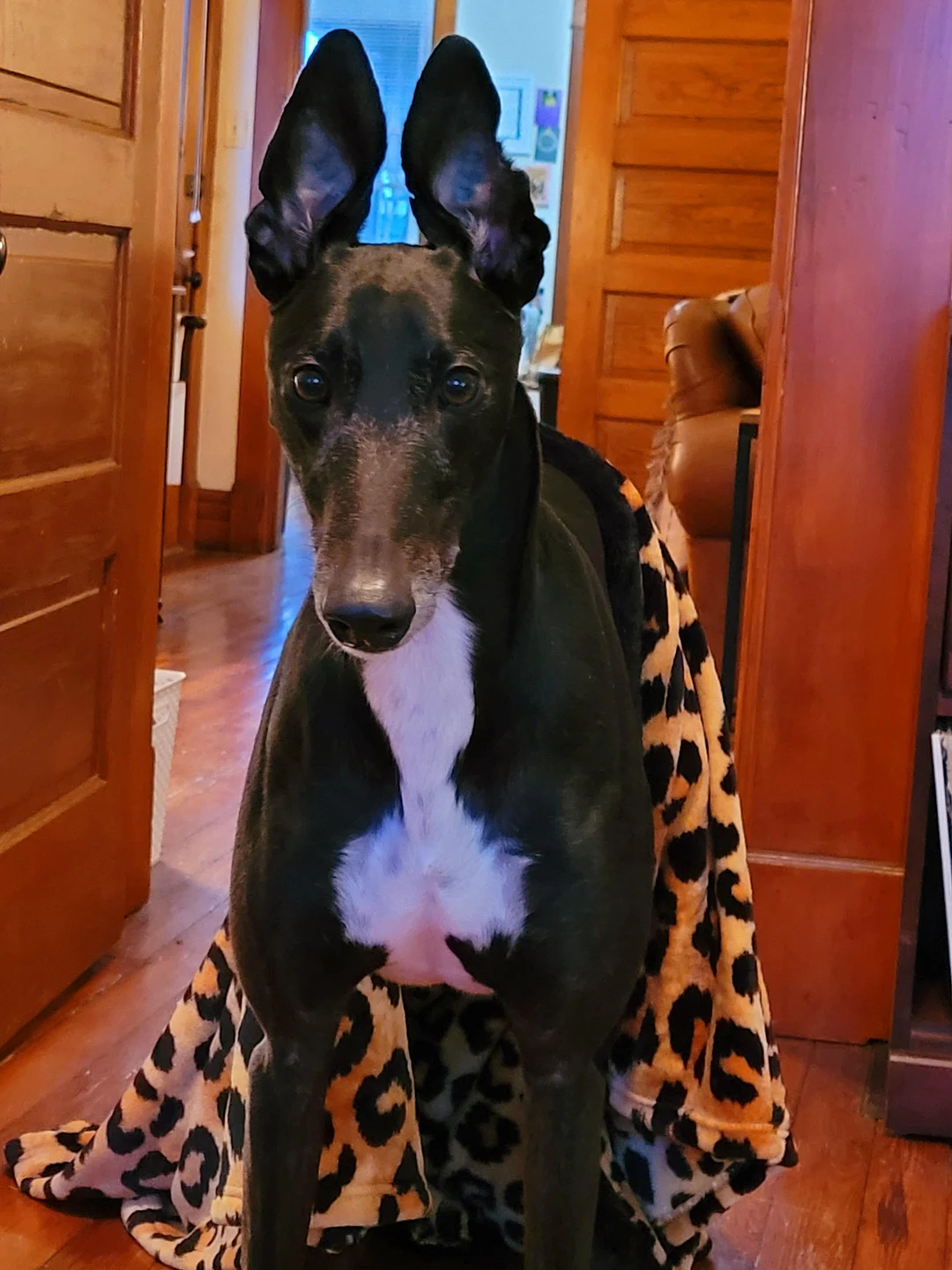 Efren is a handsome boy | Scrolller