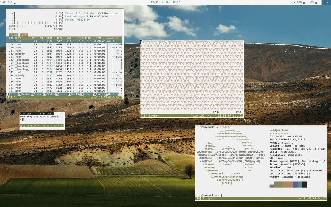 [BSPWM] Minimal, practical rice on Void | Scrolller