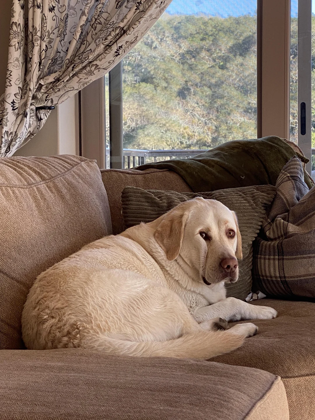 why he look like dat | Scrolller