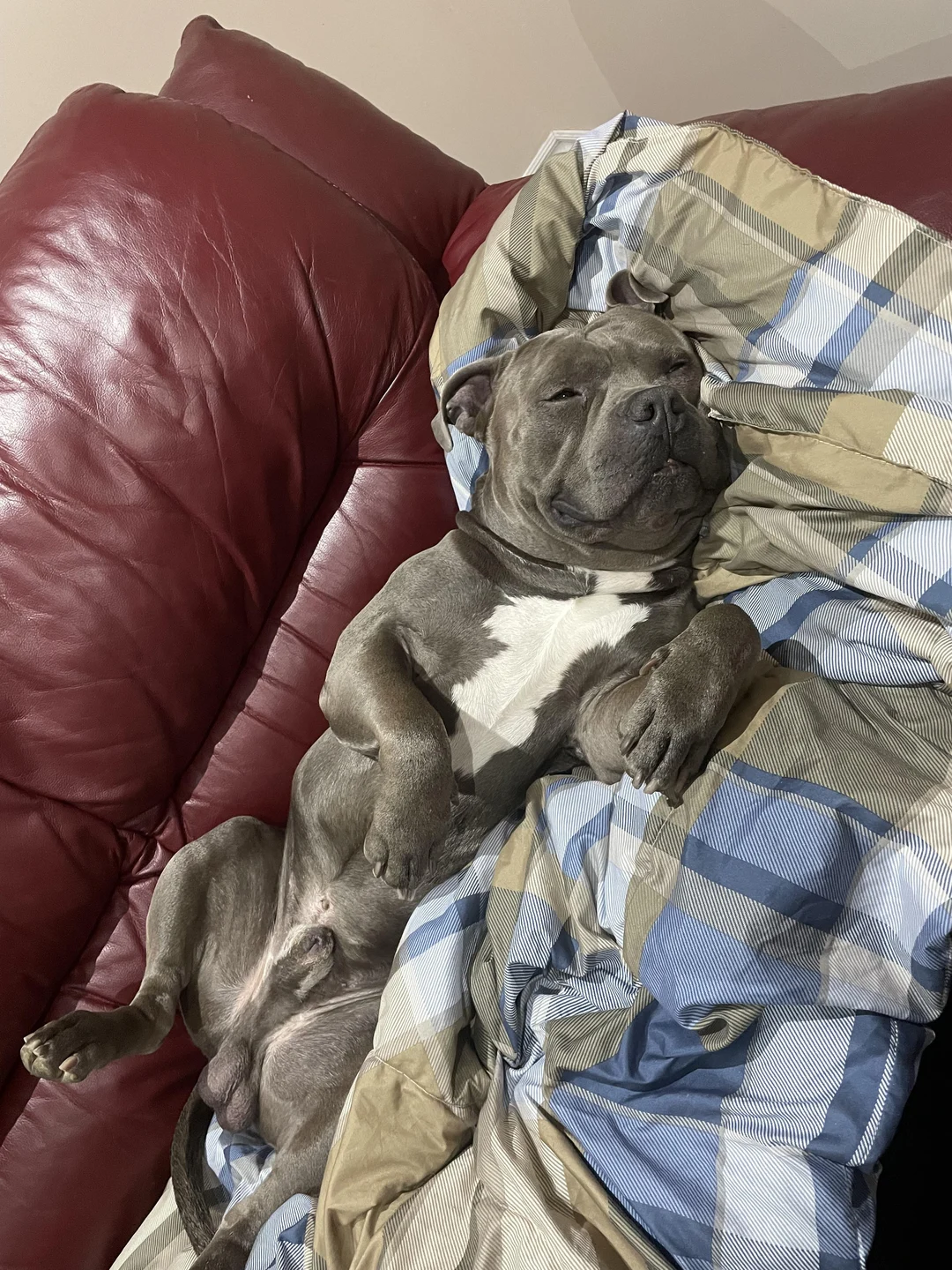 Maximum relaxation | Scrolller