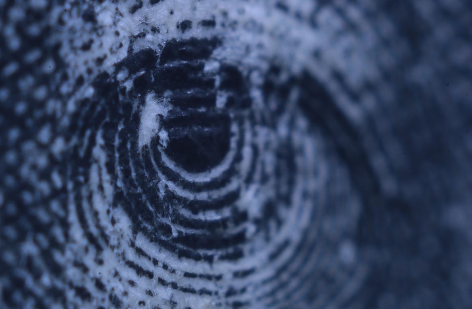 Benjamin | Scrolller