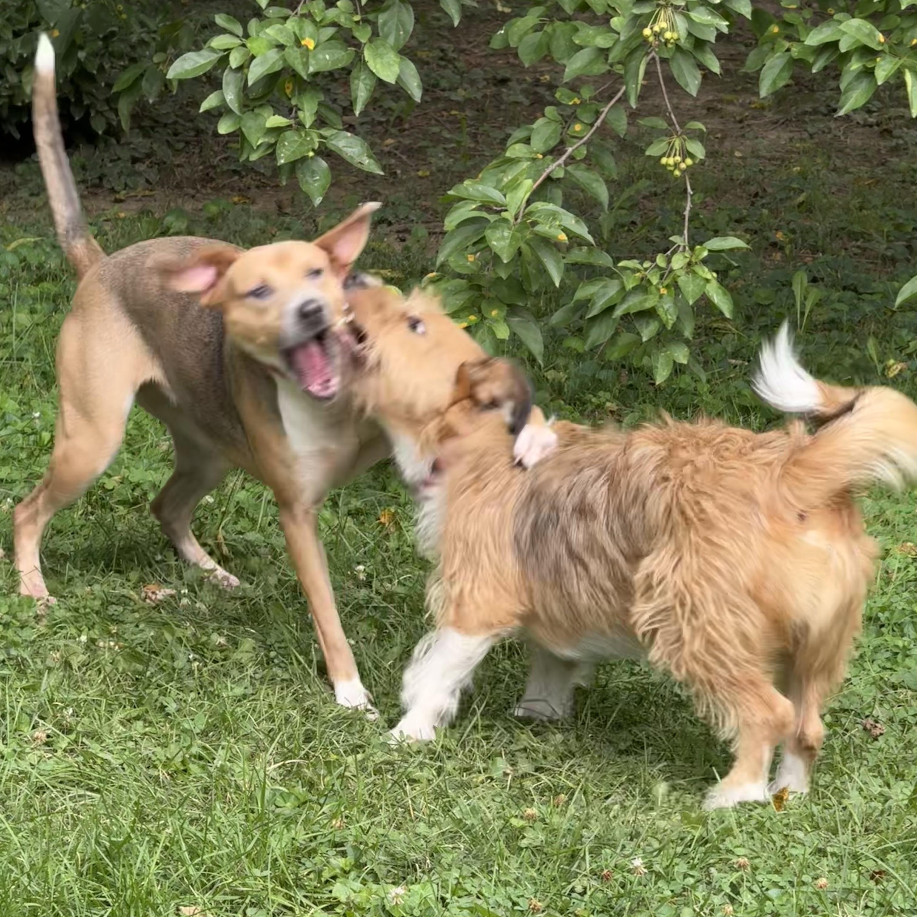 Playground | Scrolller