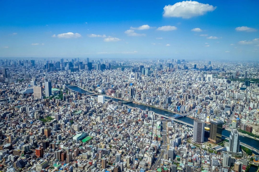 One part of Tokyo as viewed atop the Skytree | Scrolller