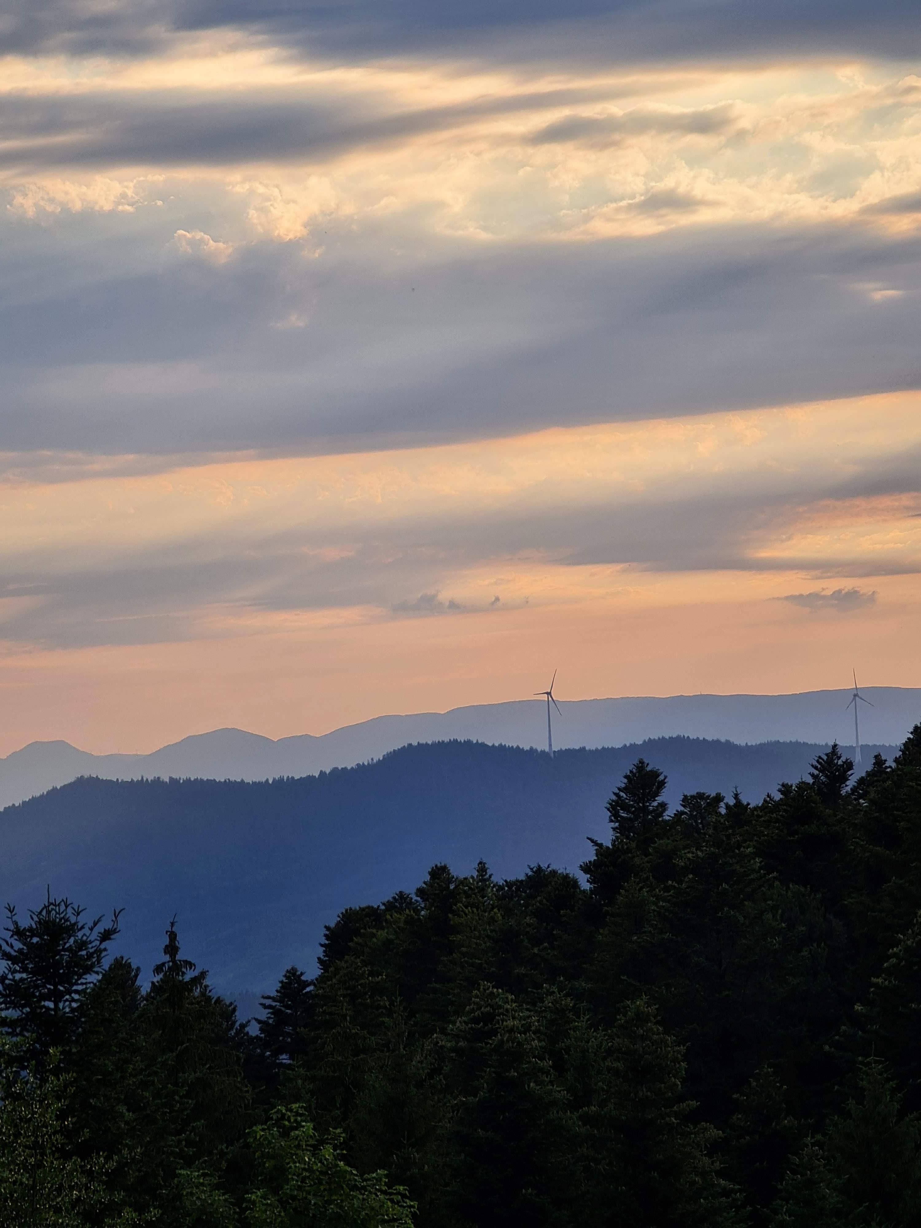 Black Forest at Dusk | Scrolller